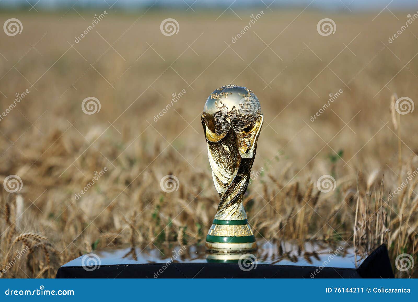 World cup trophy editorial photo. Image of champion, wheat - 76144211