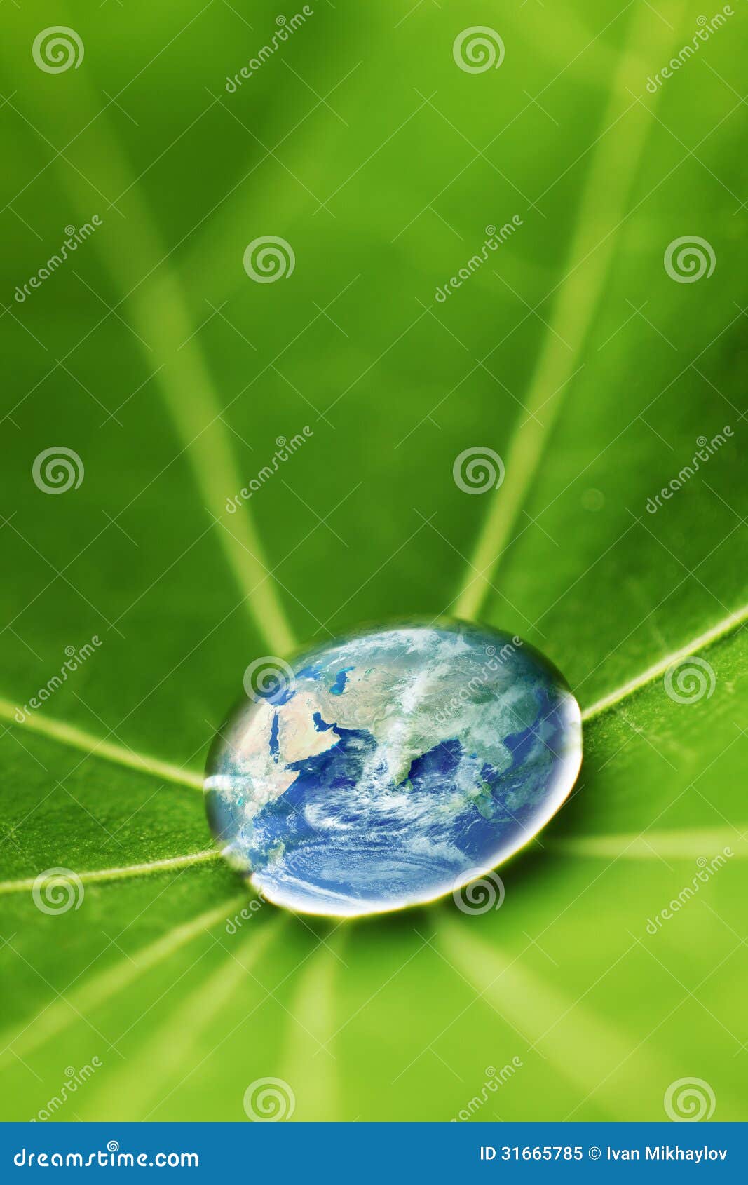The World in a Drop of Water Stock Image - Image of ecology, raindrop ...