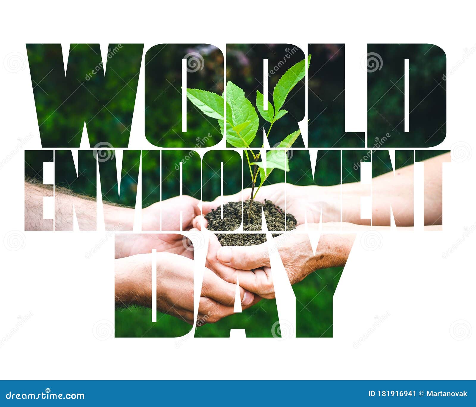 World Environment Day Text, Old and Young Hands, Green Sprout, White ...
