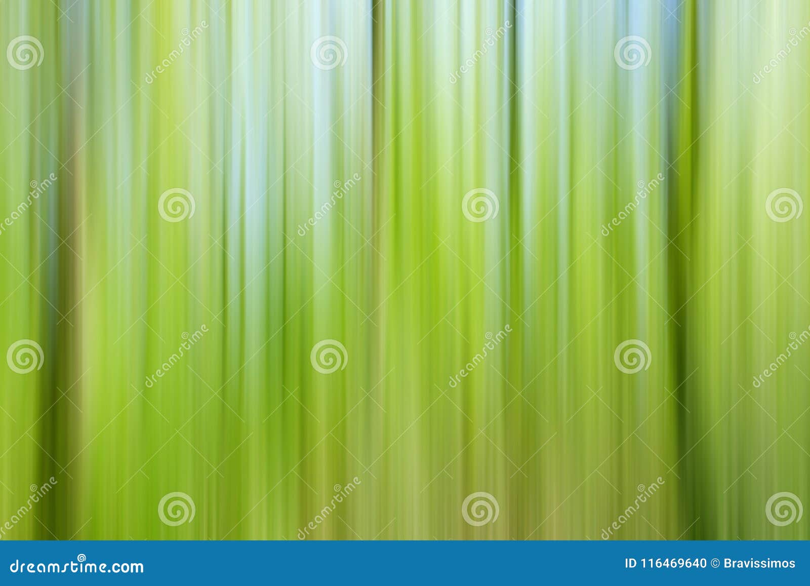 World Environment Green Tree Day Concept. Abstract Blurred Trees ...