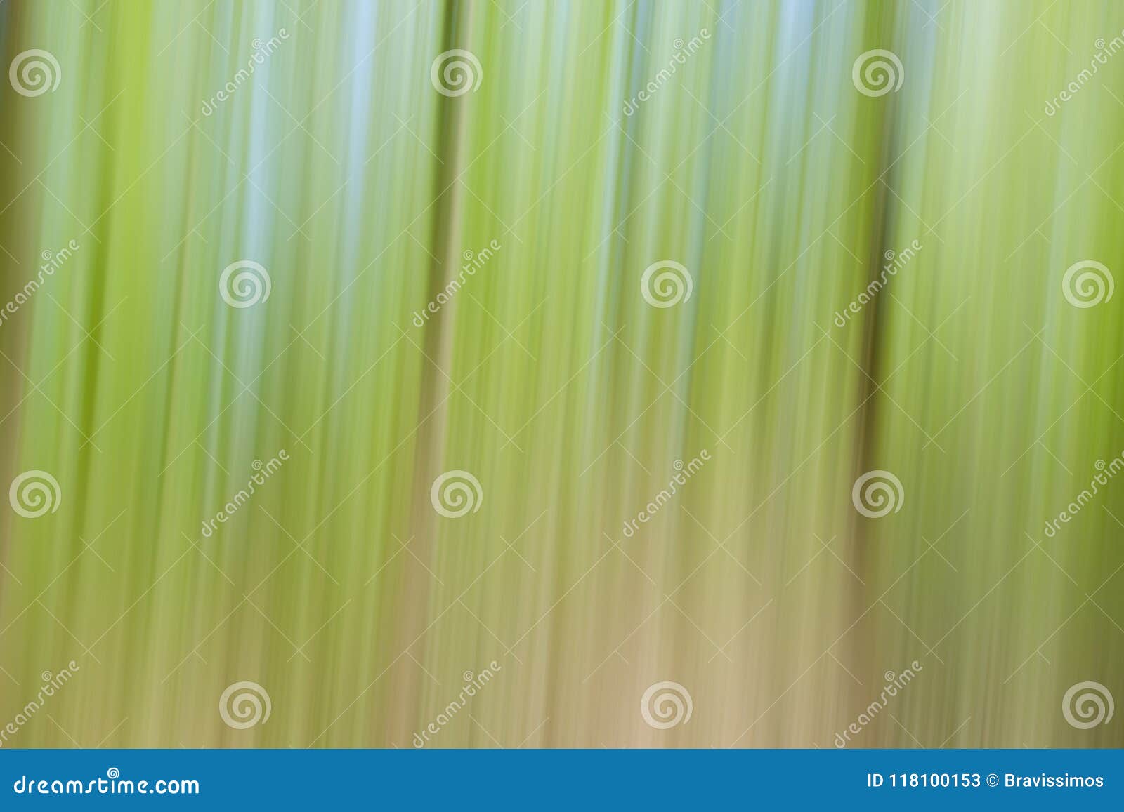 World Environment Green Tree Day Concept. Abstract Blurred Trees ...