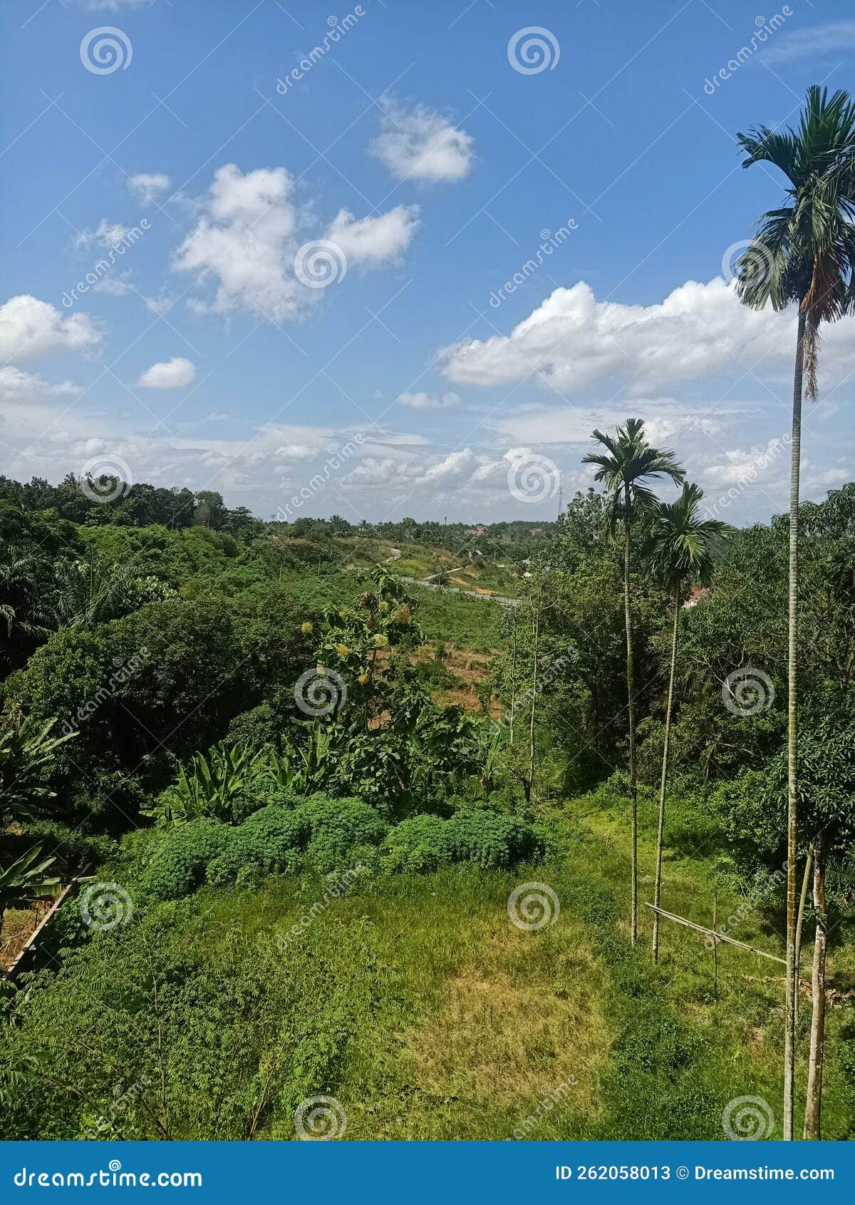 World Green Nature Tree Noon Stock Illustration - Illustration of noon ...