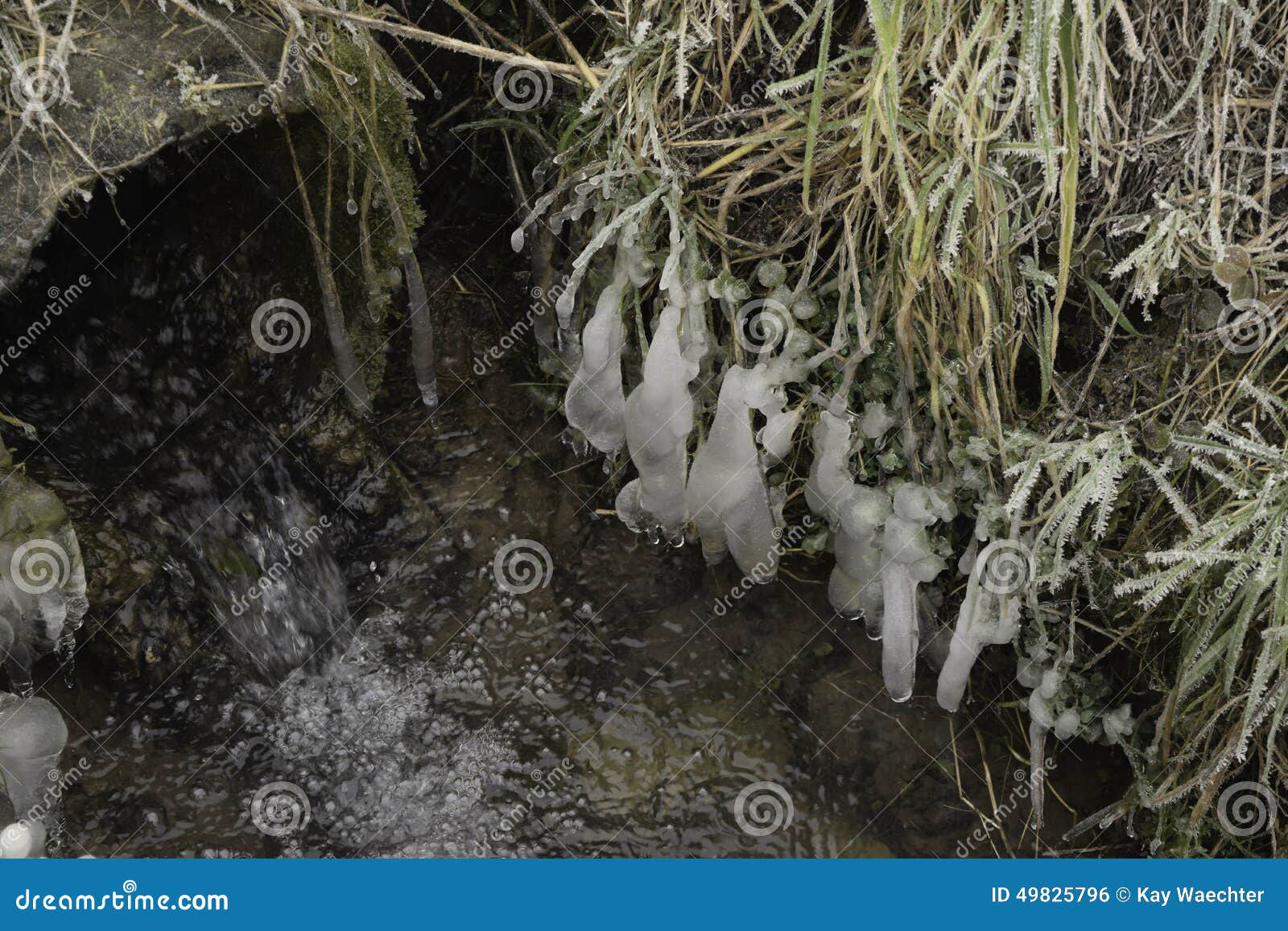 World of Ice - Frozen Brook Stock Photo - Image of season, nature: 49825796