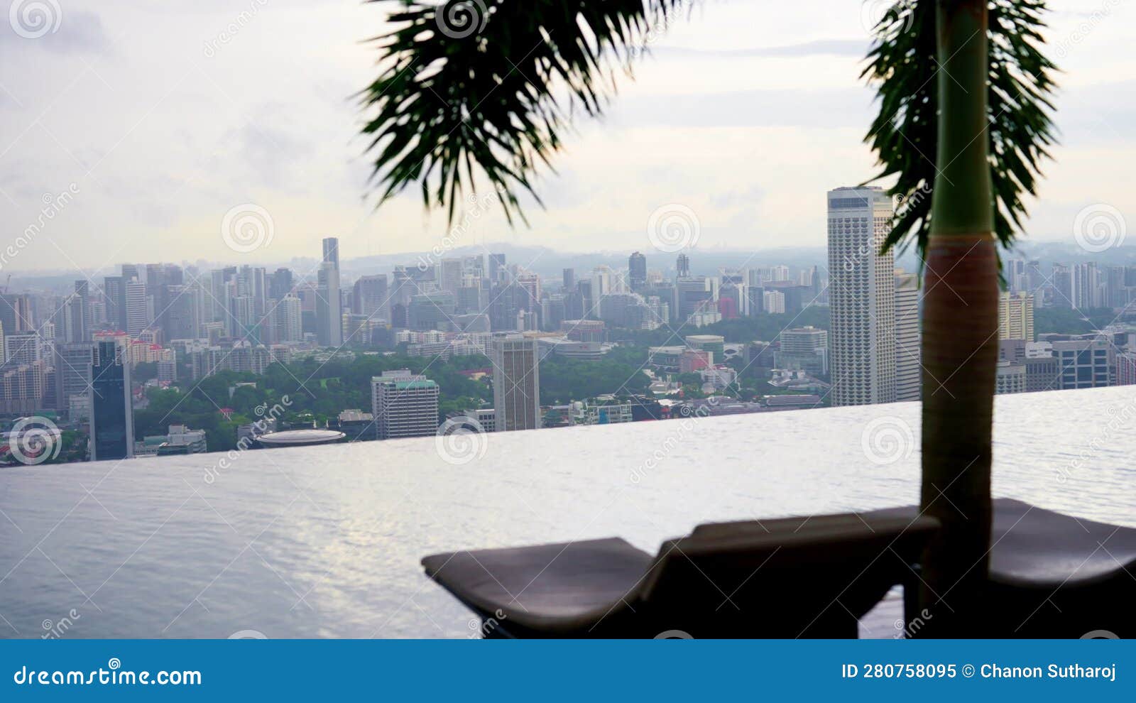 A World of an Infinity Pool Overlooking a Breathtaking Cityscape ...