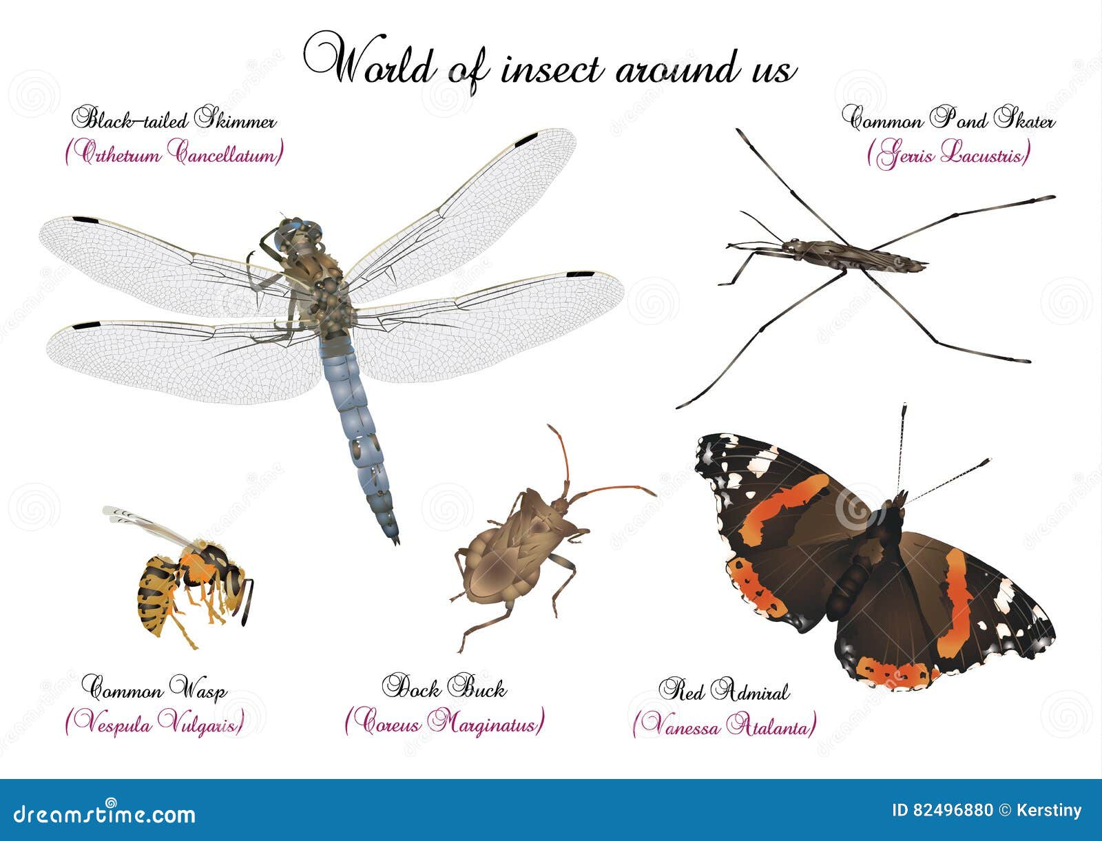 World of insect around us stock illustration. Illustration of natural ...