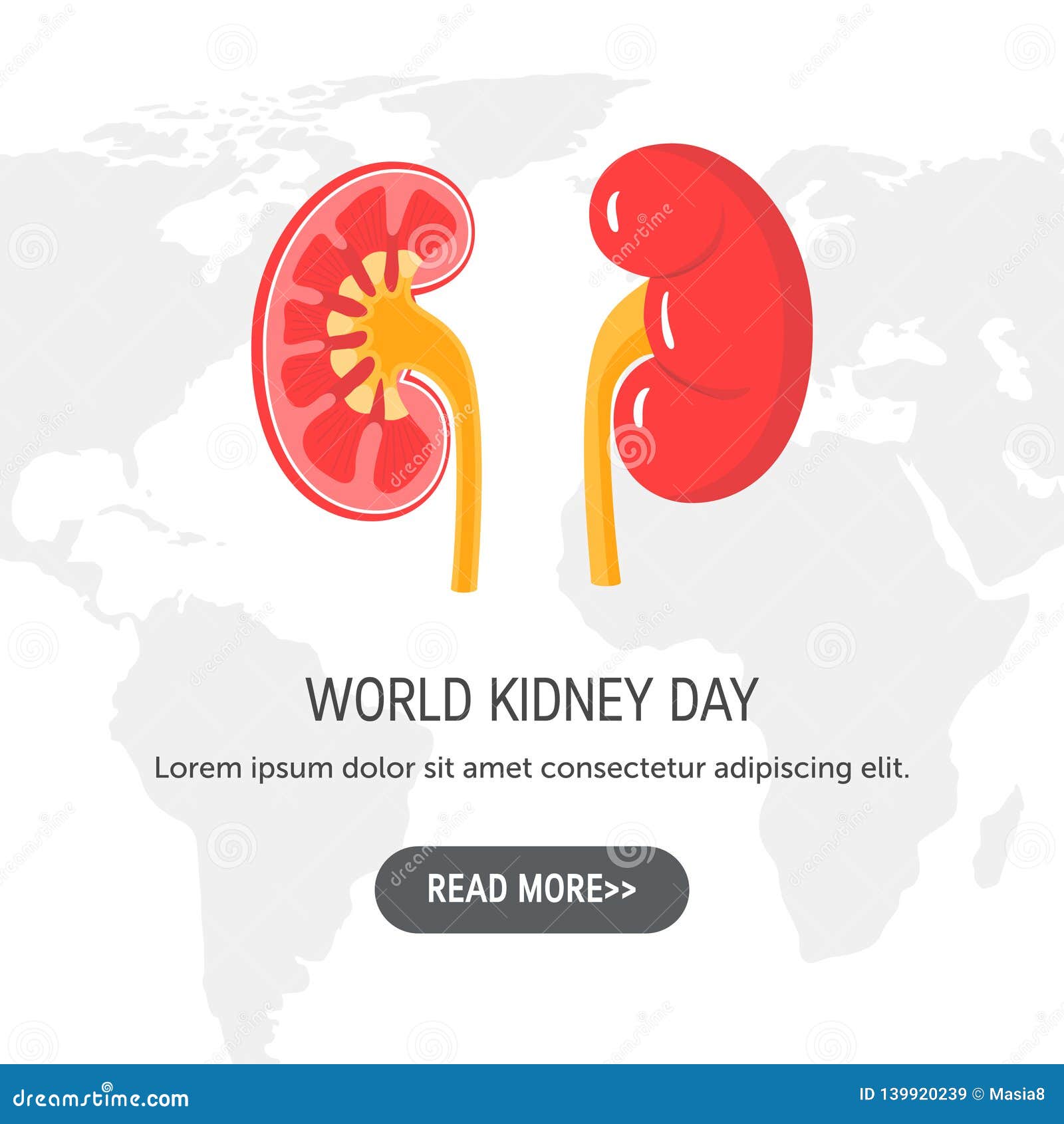 World Kidney Day Schematic Representation Of Human Kidneys Yellow ...