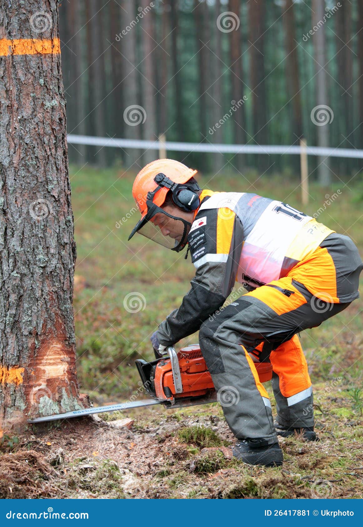 Logging In Japan Royalty-Free Stock Photo | CartoonDealer.com #7886403
