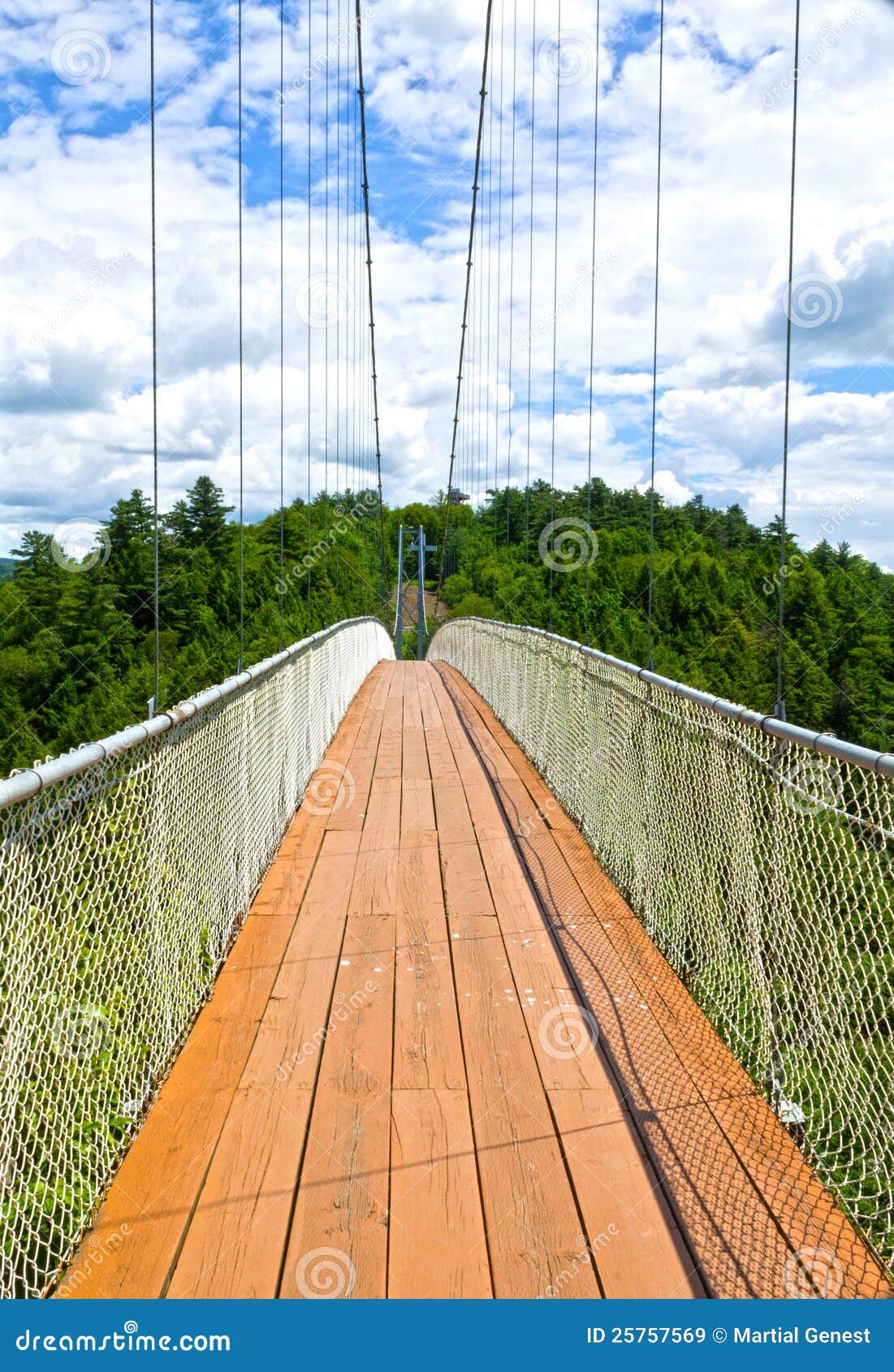 World Longest Pedestrian Suspended Bridge Quebec Stock Image - Image of ...