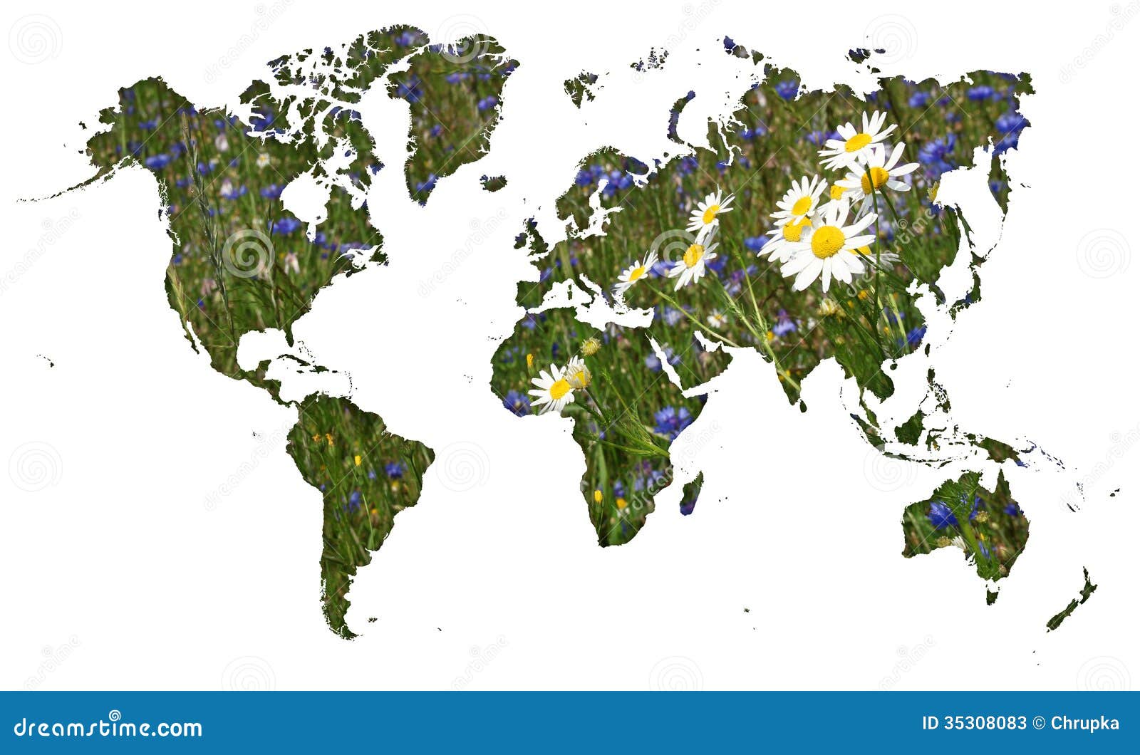 World Map with Cornflower Meadow Background Stock Image - Image of ...