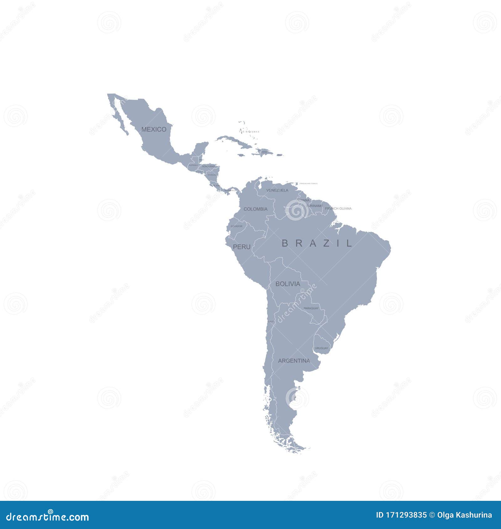 World Map. Graphic Vector of Latin America Map Stock Vector ...