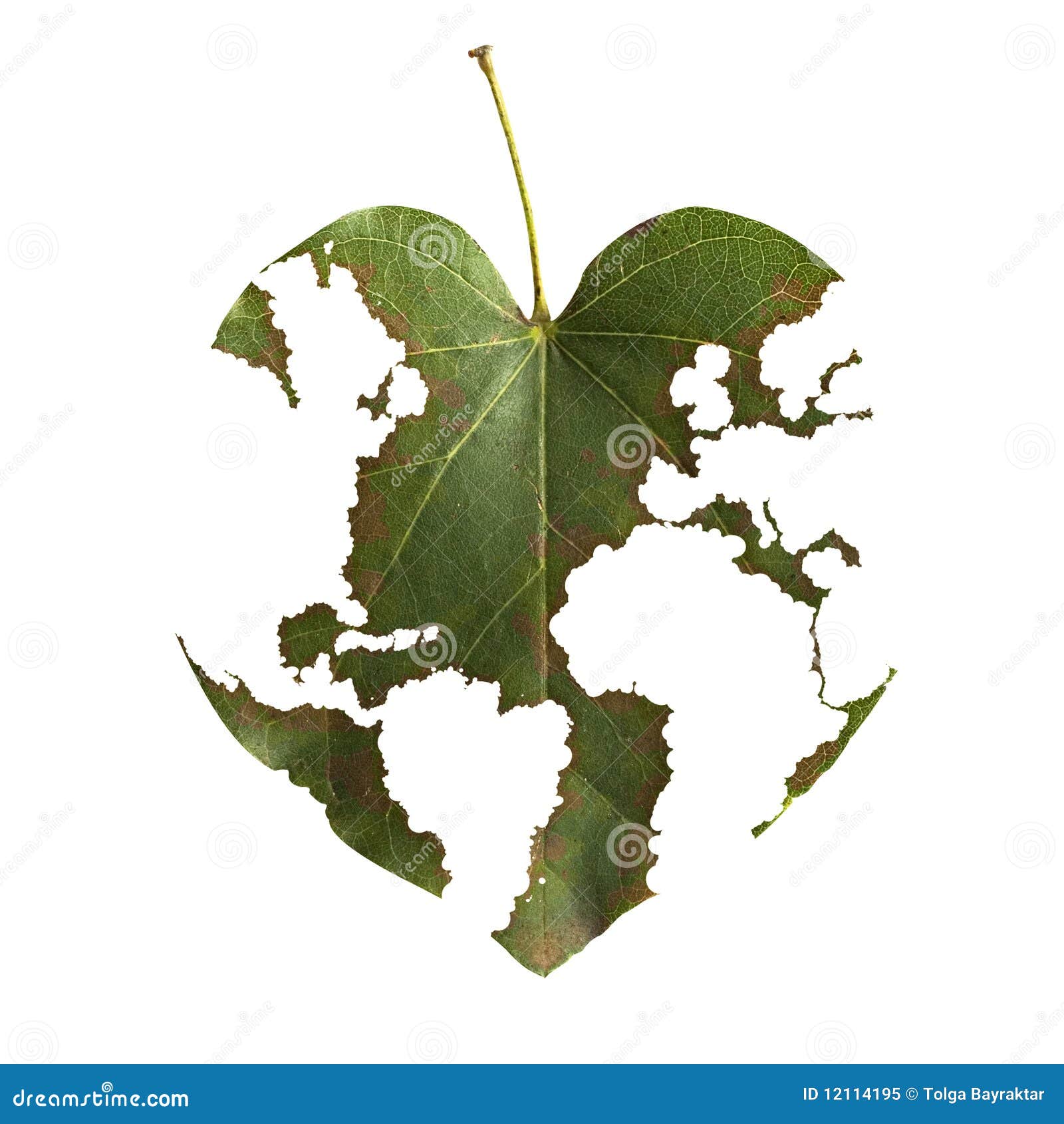 World map in a leaf stock image. Image of design, plant - 12114195