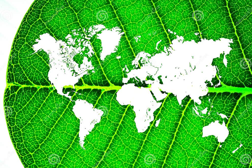 World map in a leaf stock image. Image of cartography - 25812983