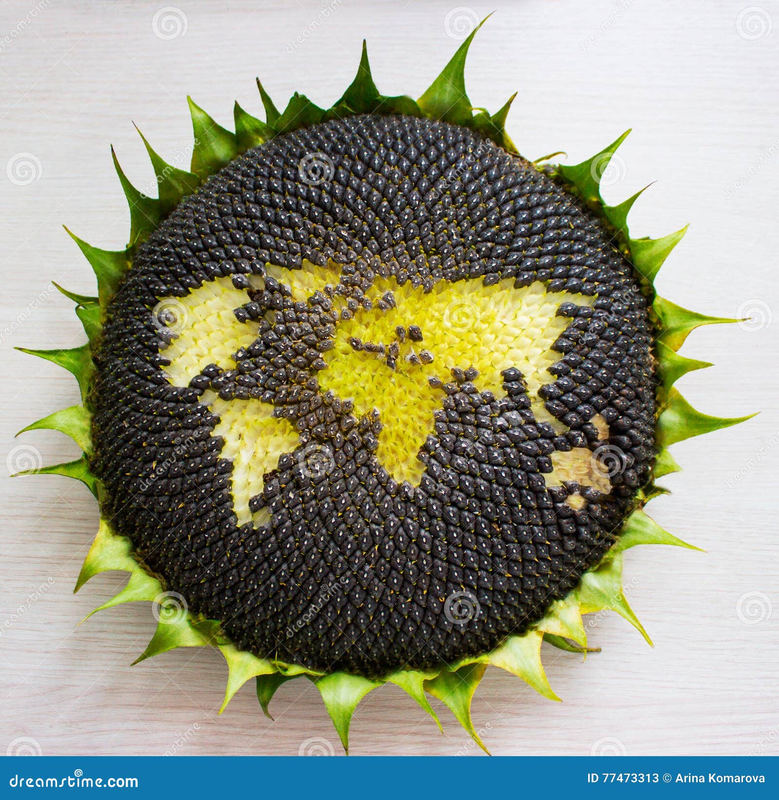 World Map Made from Whole Sunflower Stock Image - Image of businness ...