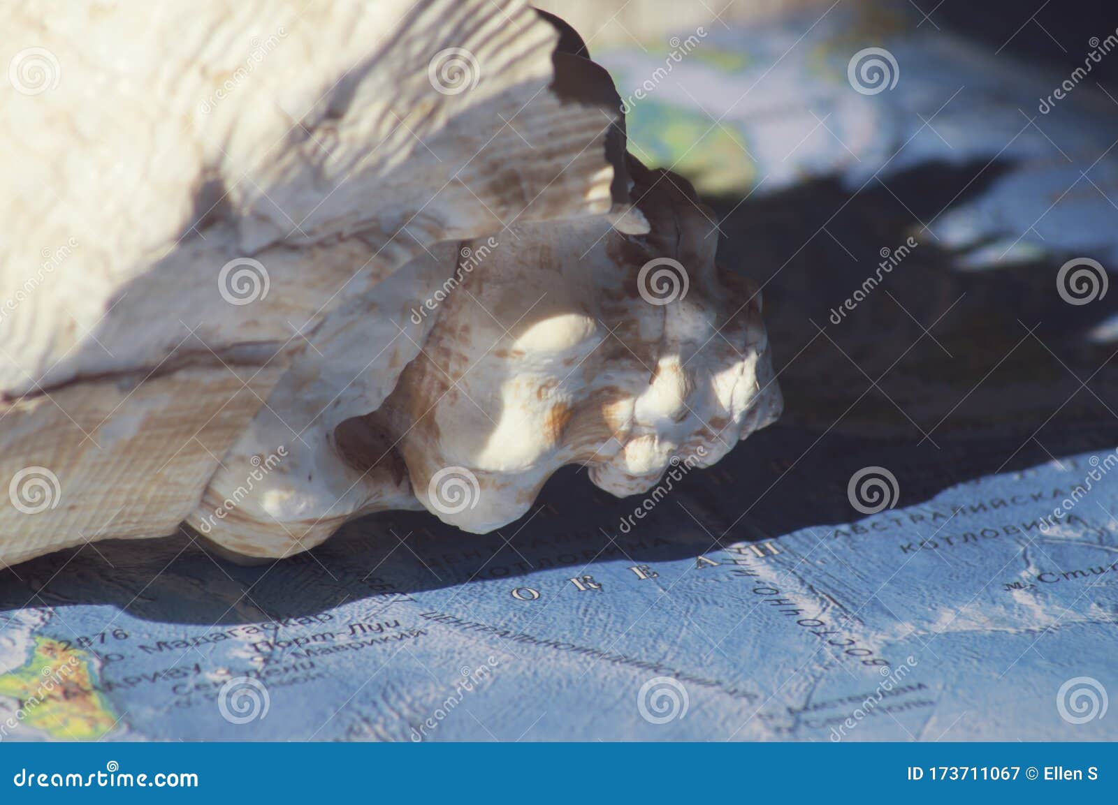 World Map for Travel Planning Stock Image - Image of countries, shell ...