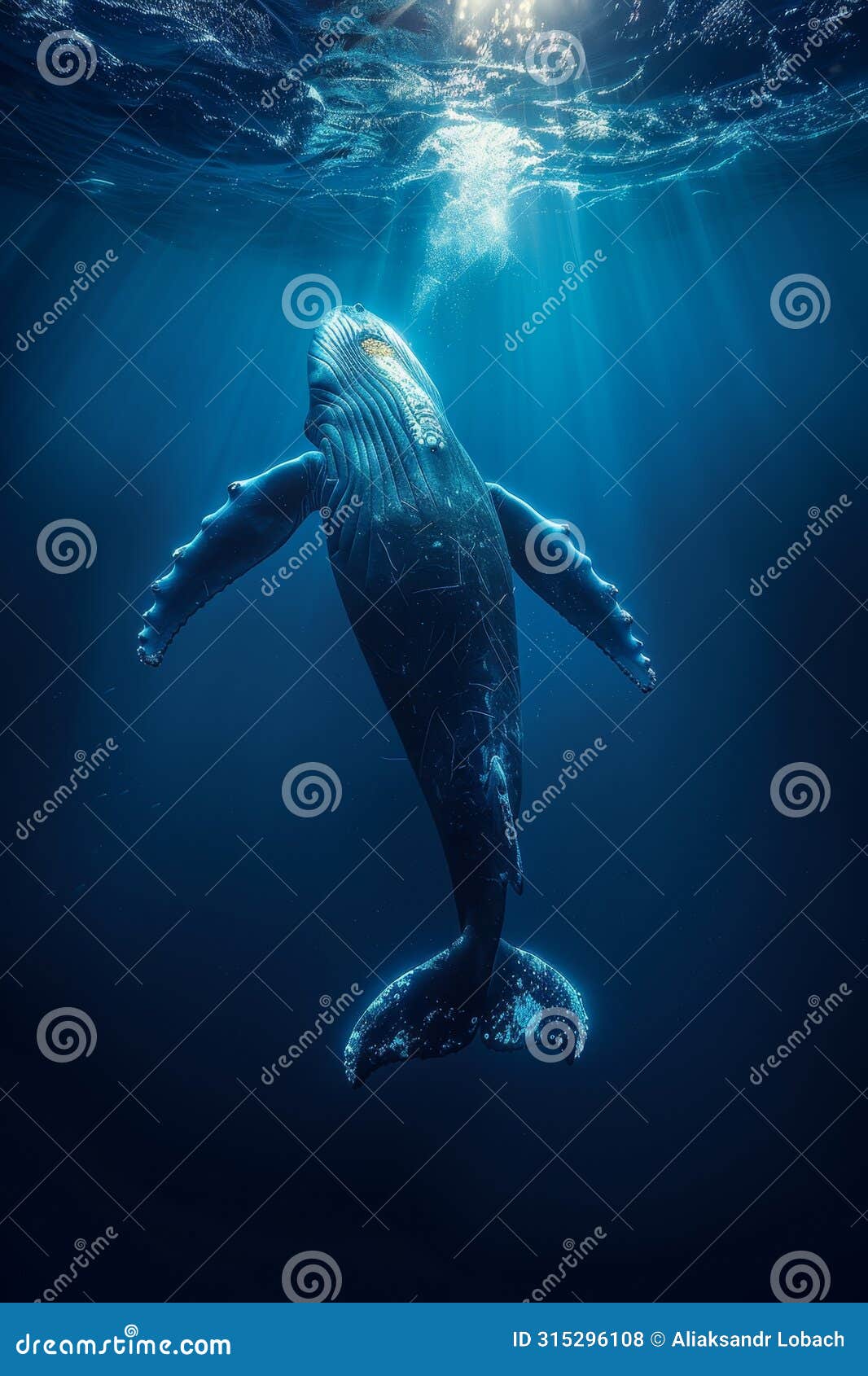 World Oceans Day. a Floating Whale Underwater Stock Photo - Image of ...