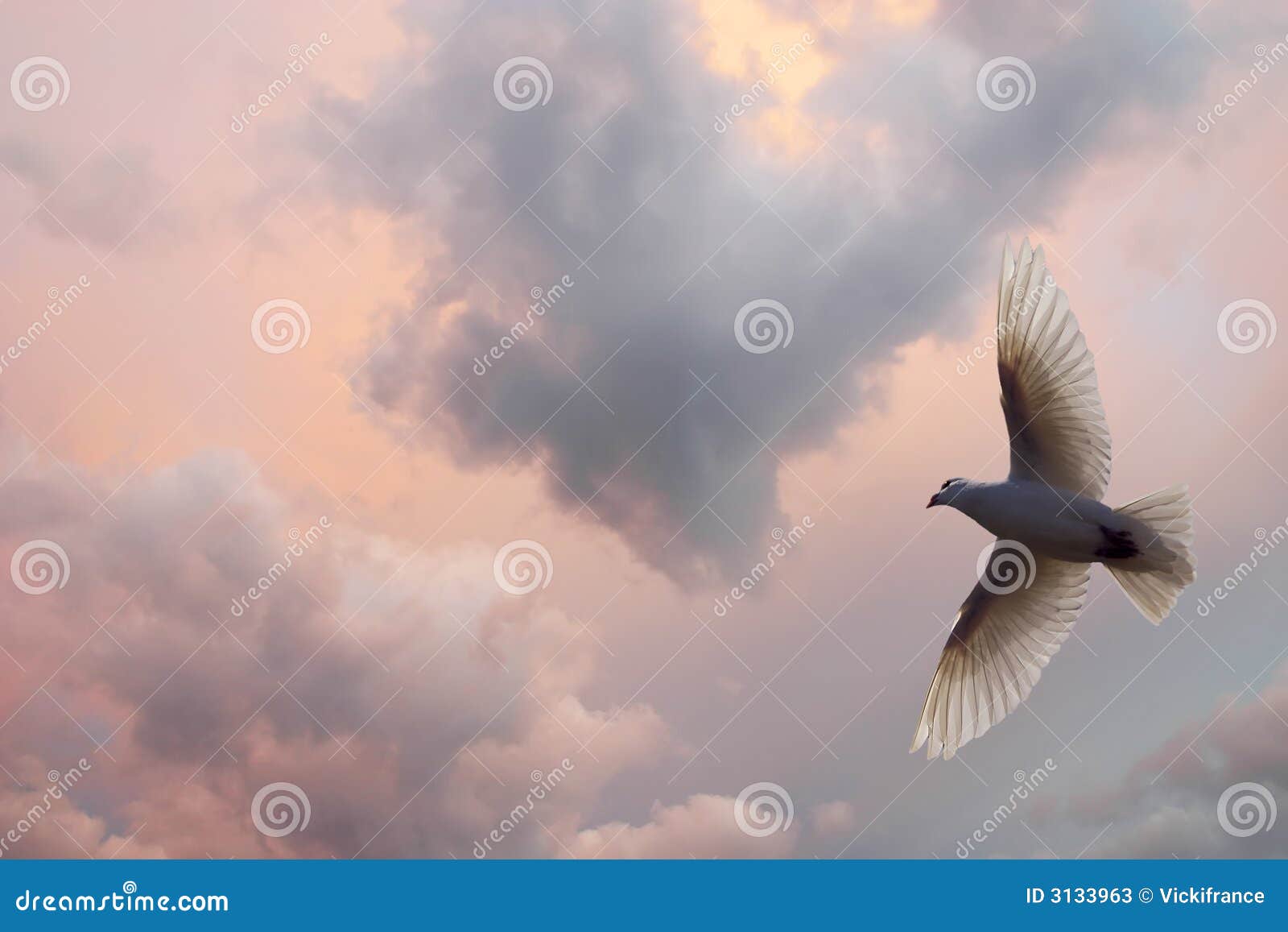 World Peace stock image. Image of symbol, white, bird - 3133963