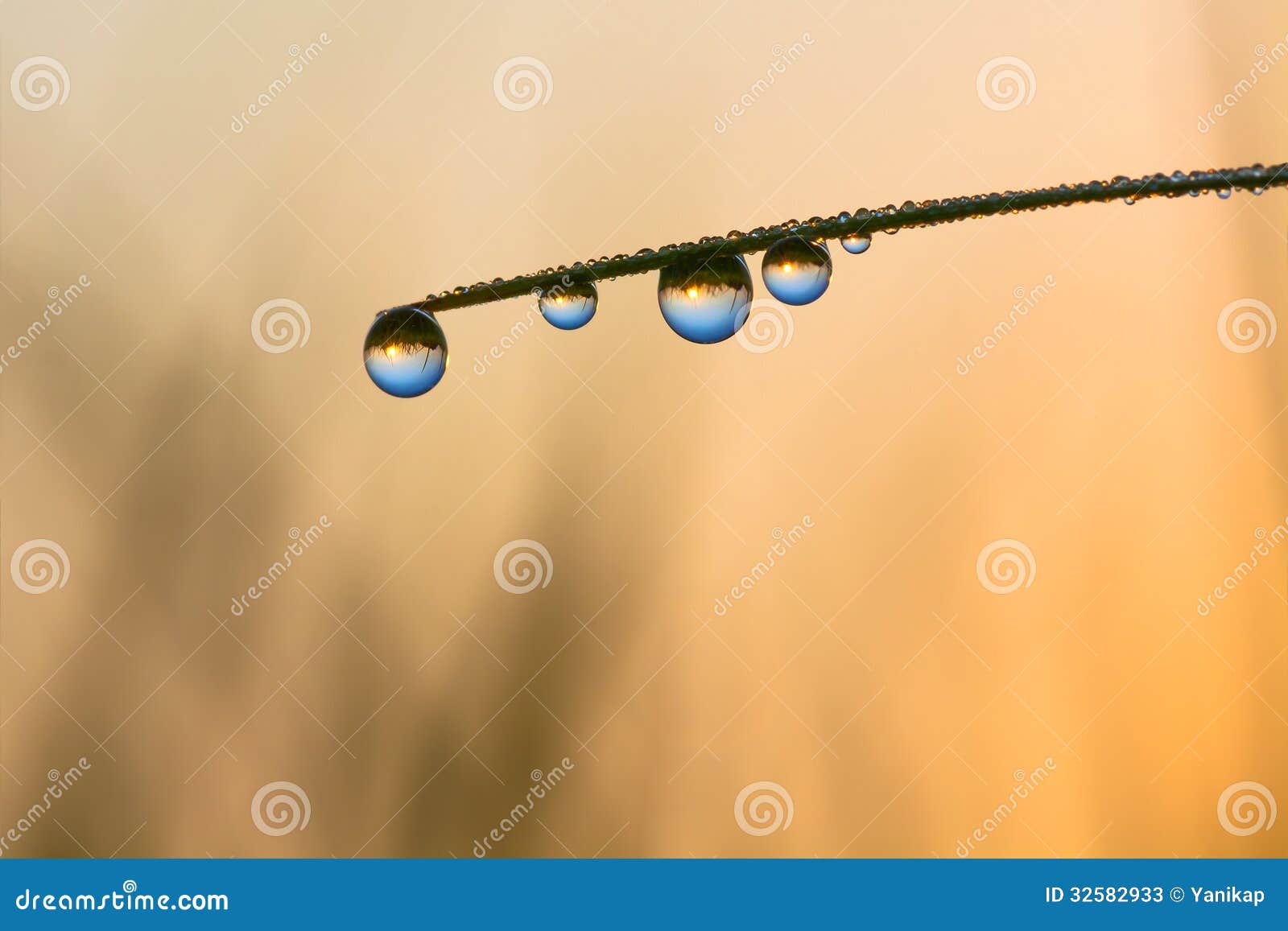World Reflection in Dew Drops Stock Image - Image of frame, full: 32582933