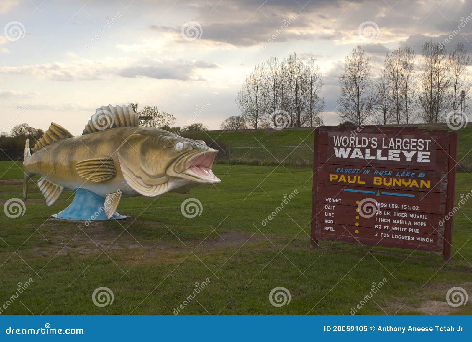 World s Largest Walleye editorial image. Image of north - 20059105