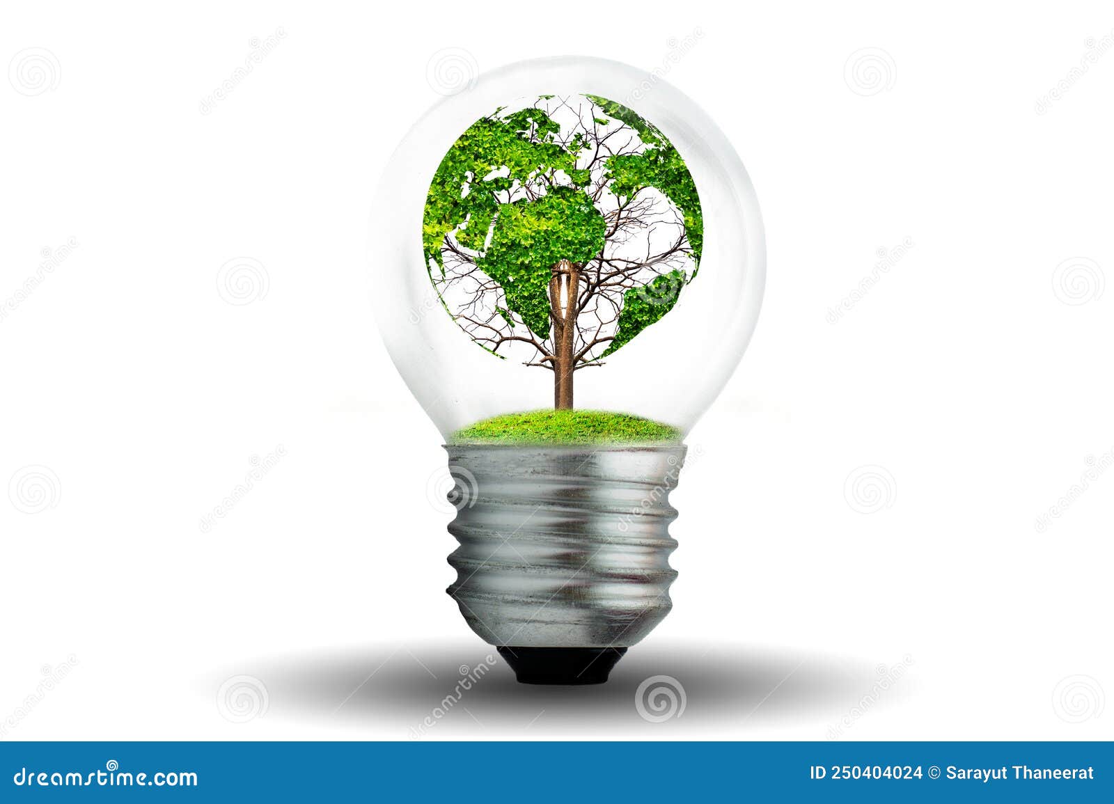 World Shaped Tree in Light Bulb Concept of Environmental Conservation ...