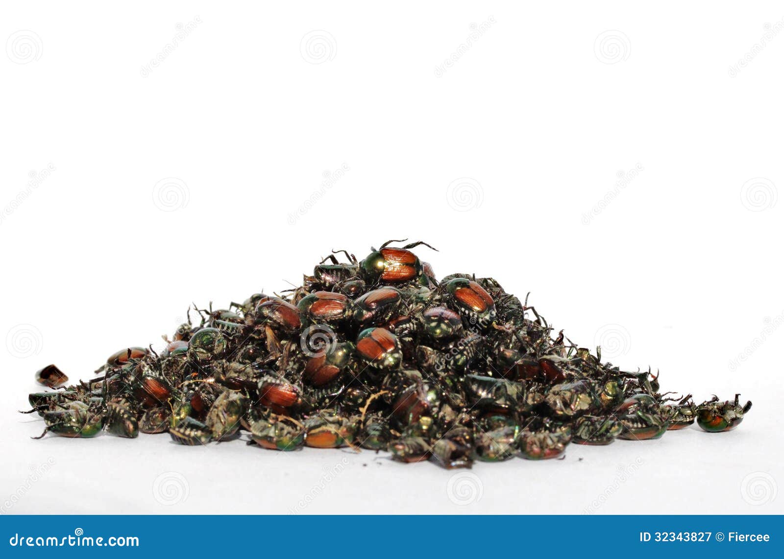 World War B stock image. Image of dead, creepy, studio - 32343827