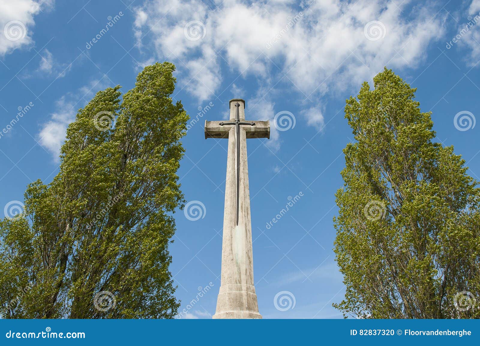 World War Two Graves Editorial Image | CartoonDealer.com #146032106