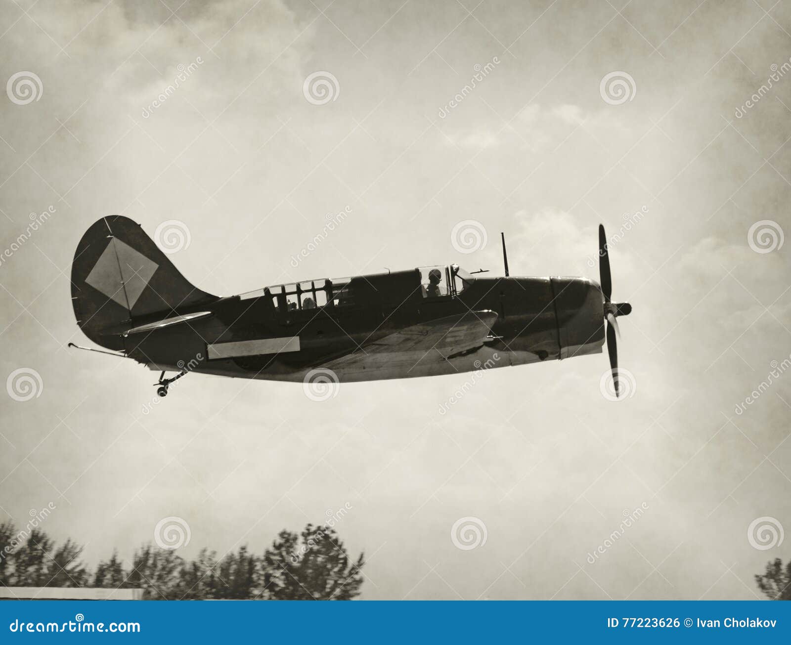 World War II navy fighter stock photo. Image of sepia - 77223626