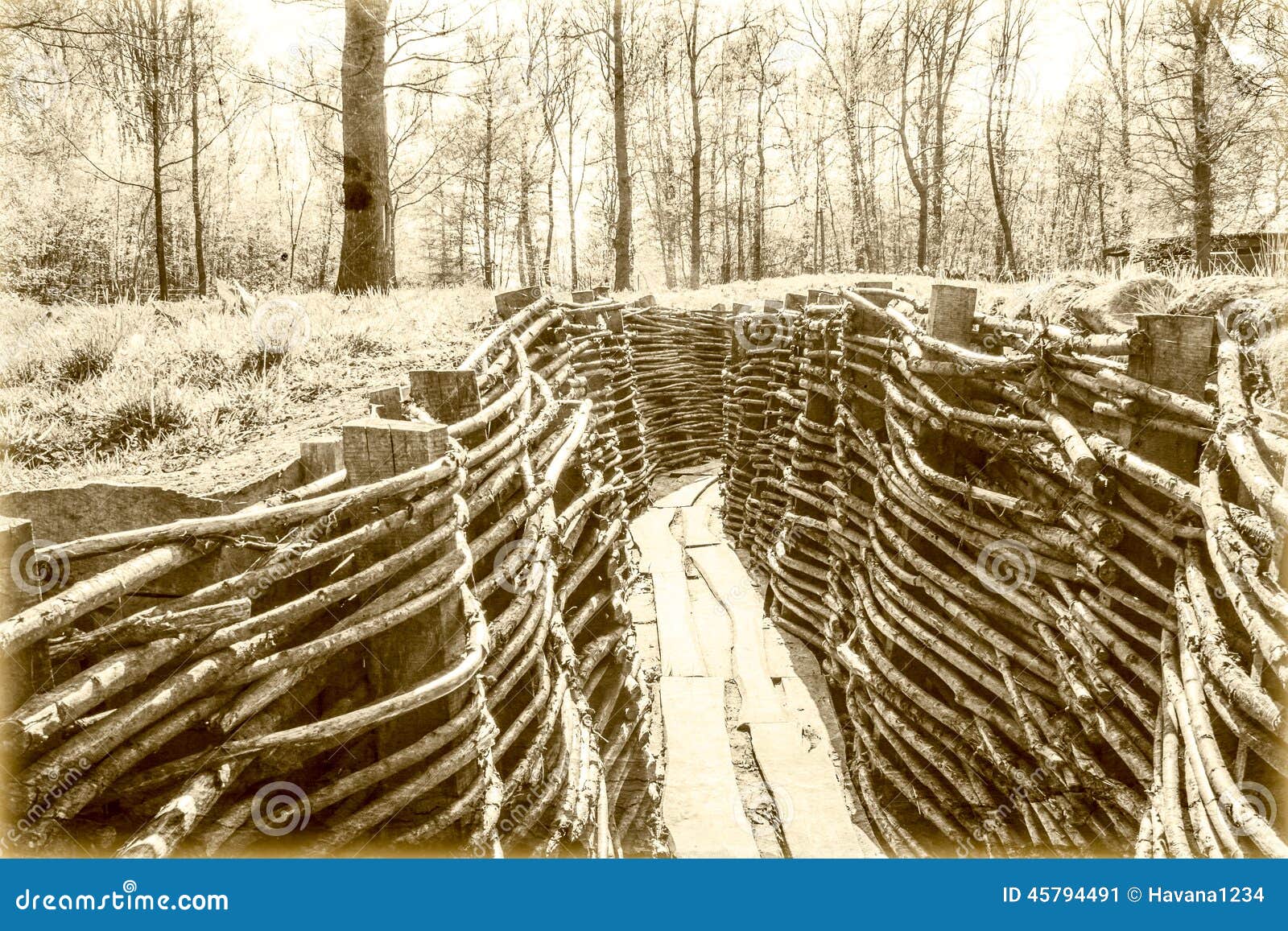 A World War One Trench Belgium Flanders Stock Image - Image of tree ...
