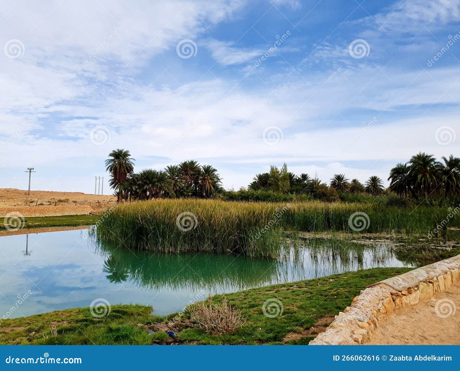 World Wild Simple Easy Life Stock Photo - Image of easy, wetland: 266062616