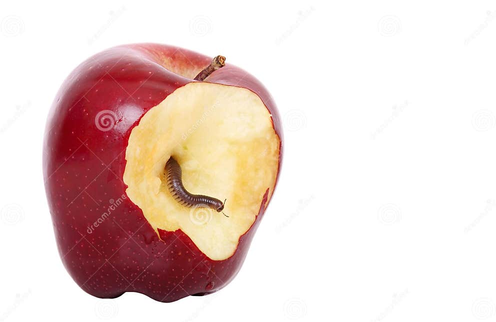 Worm in apple stock image. Image of parasite, nature - 27488557
