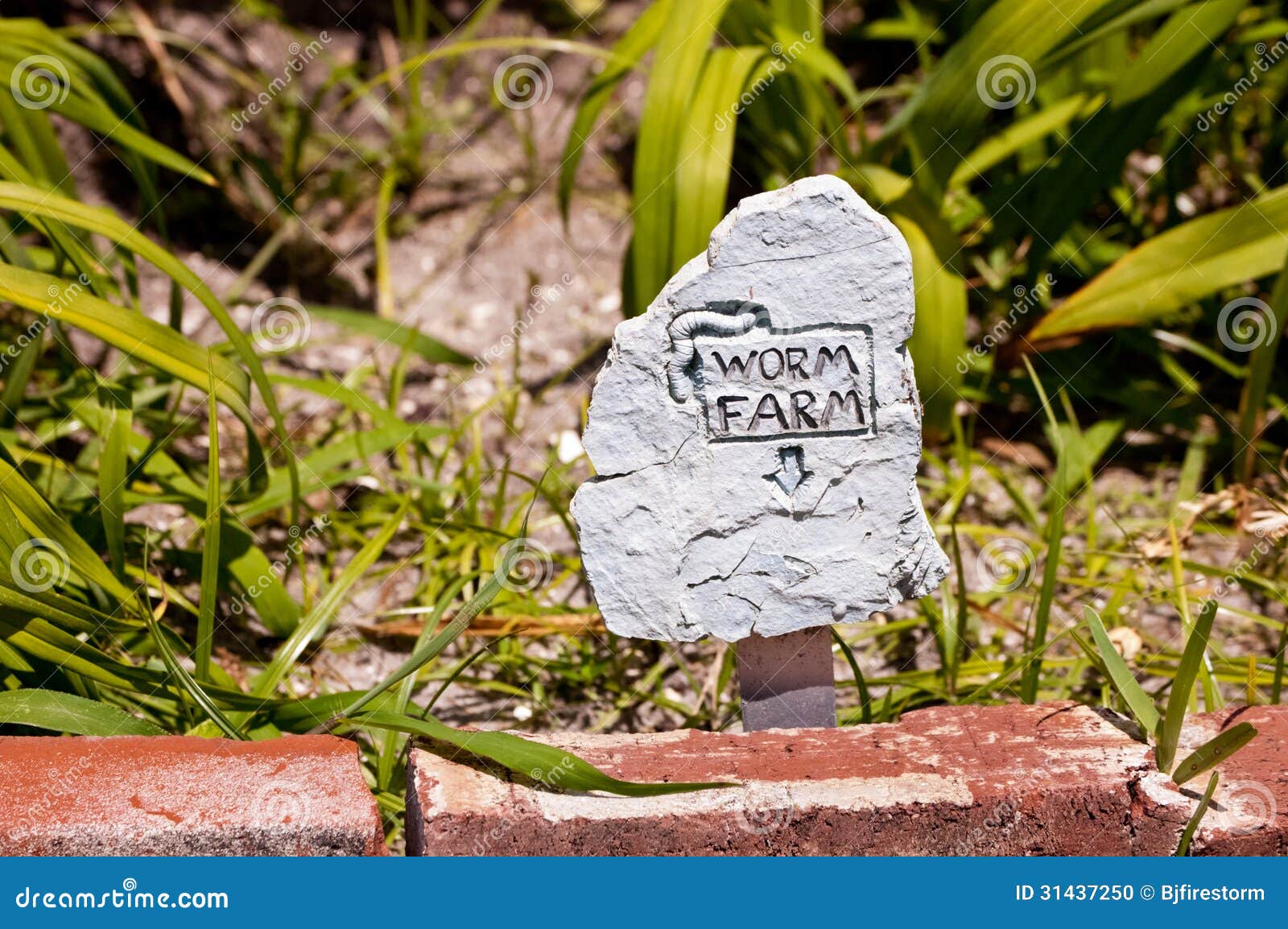 Worm farm sign stock photo. Image of brown, wildlife - 31437250
