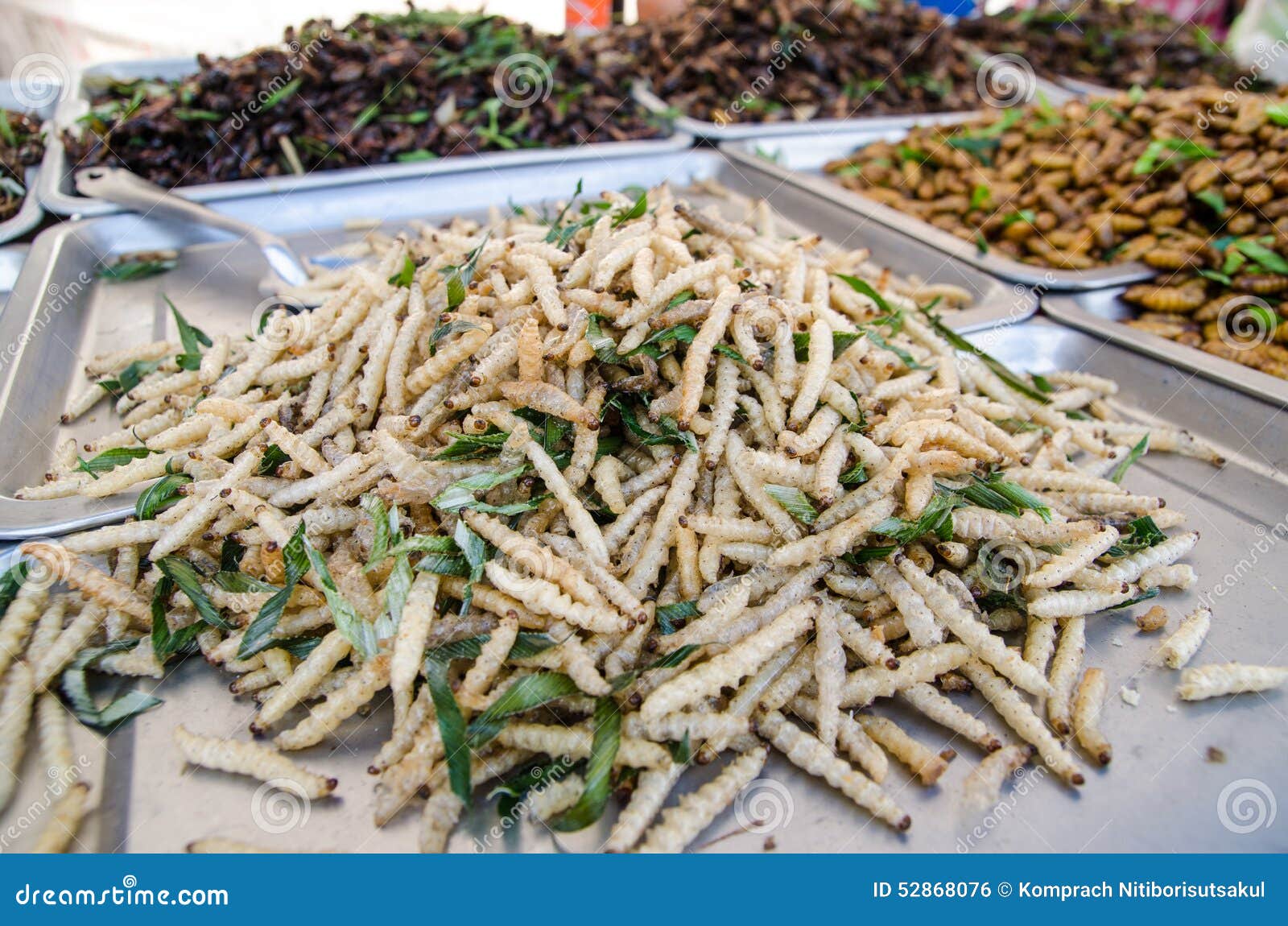 Worm fried stock photo. Image of meat, asian, animal - 52868076