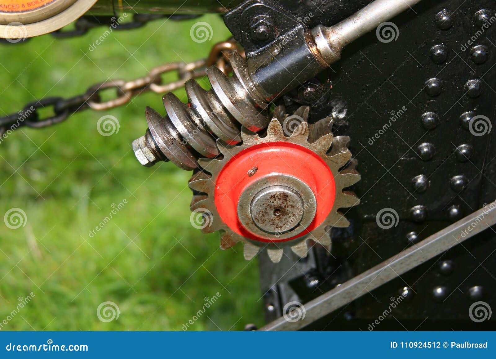 Worm Gear, Cogs and Teeth on Scale Model Steam Powered Traction Engine ...