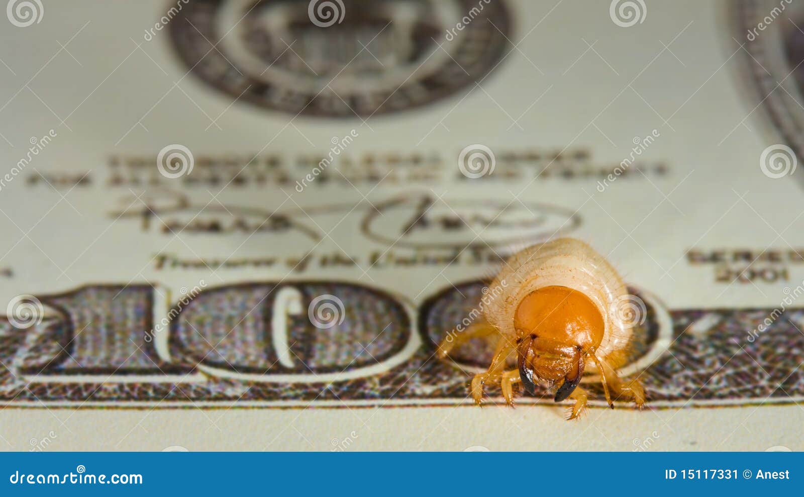 Worm Gnawing through Money, Inflation Concept Stock Image - Image of ...