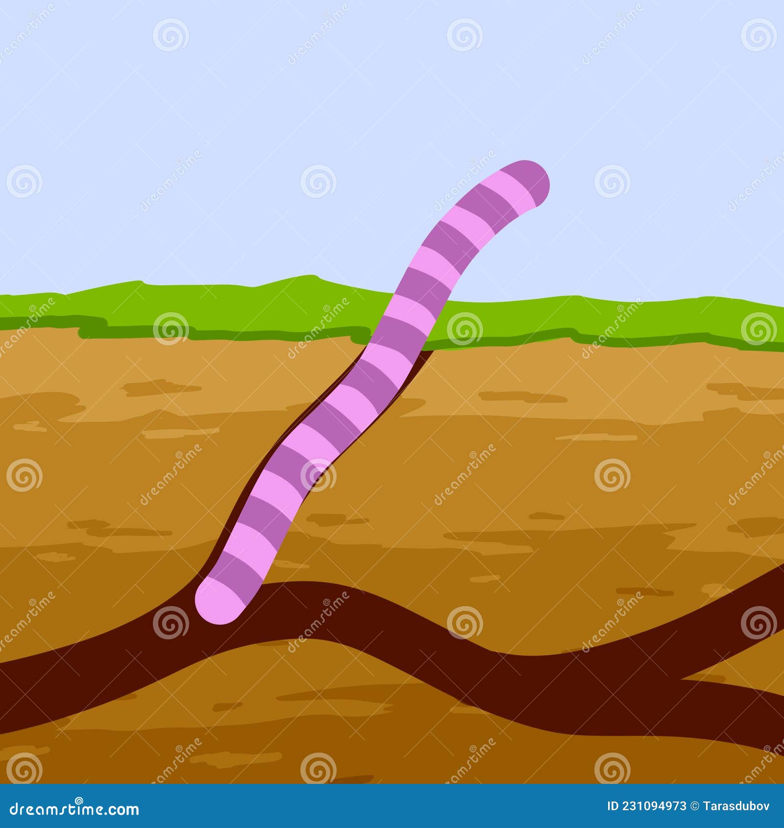 Worm in Ground. Spring Concept. Burrows and Passages Stock Vector ...
