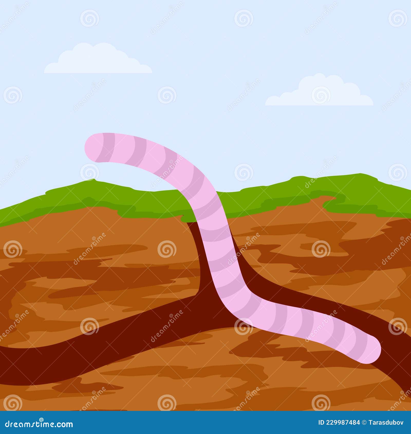 Worm In Ground. Spring Concept. Burrows And Passages. Nature And Insect ...
