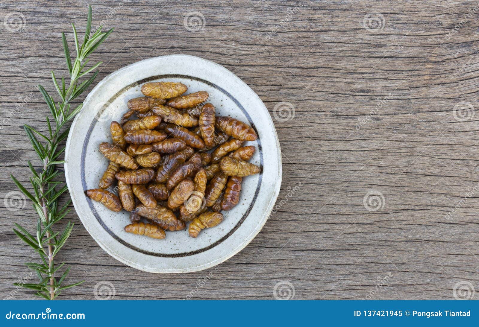 Worm Insects or Chrysalis Silkworm in a Ceramic Plate on Wood Table ...