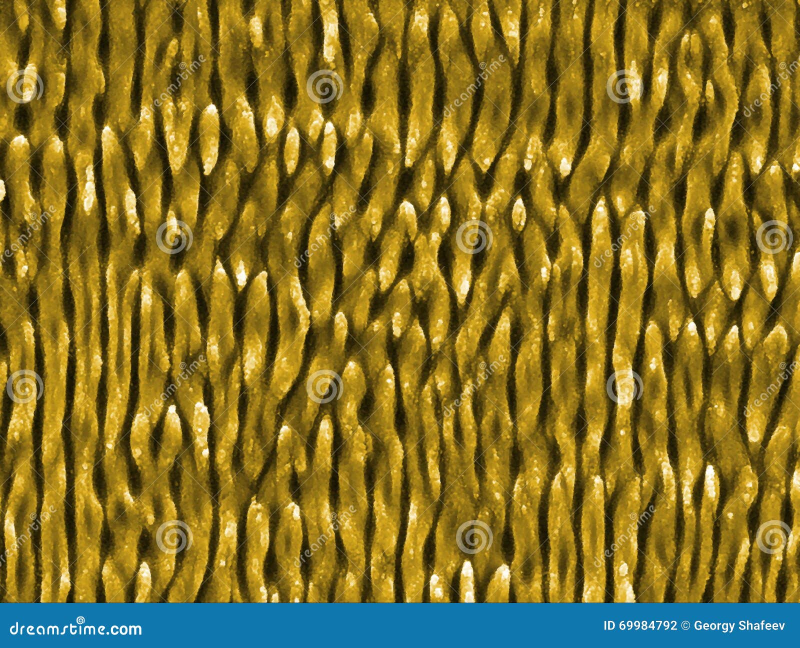 Worm-like Structures Created on Nickel by Ultrashort Laser Pulses Stock ...