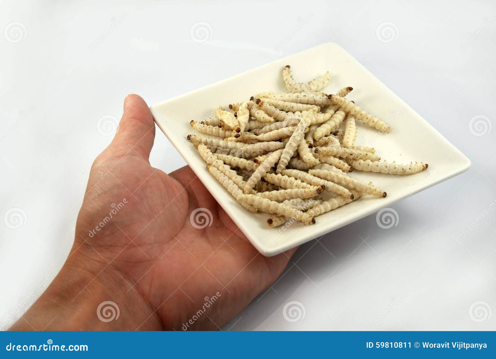 Worm on plate stock image. Image of healthy, close, asia - 59810811
