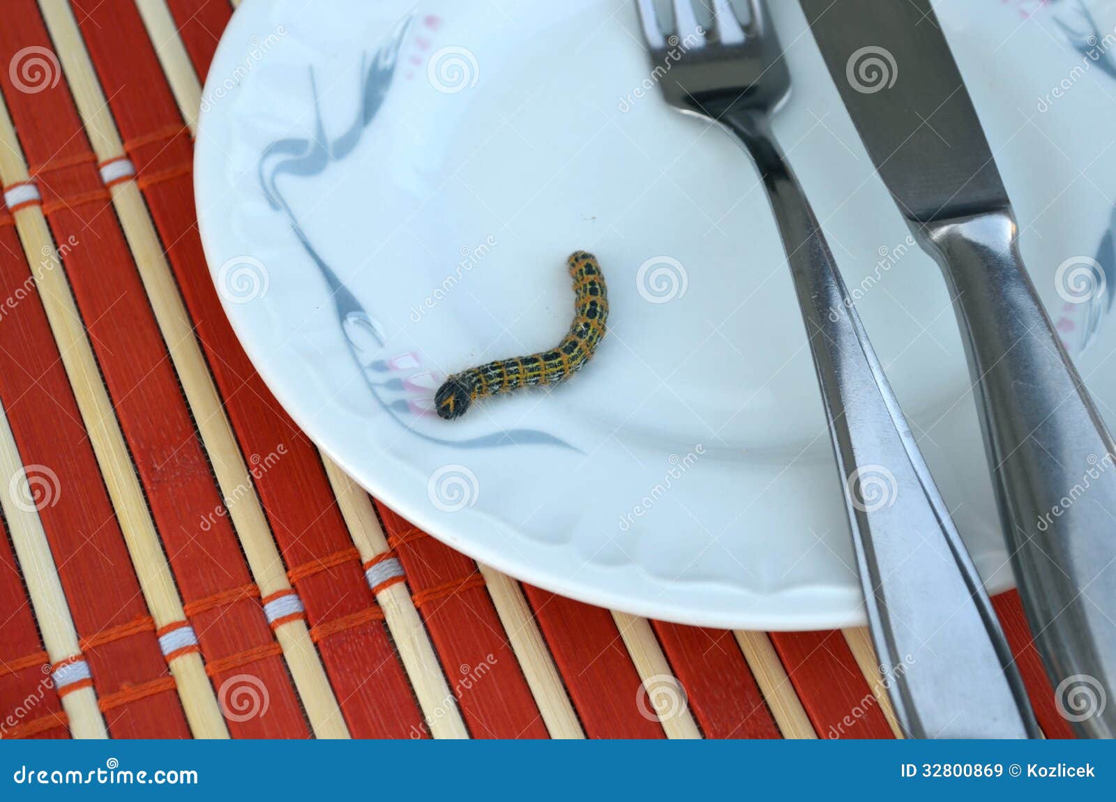Worm on plate stock image. Image of fast, crispy, thailand - 32800869
