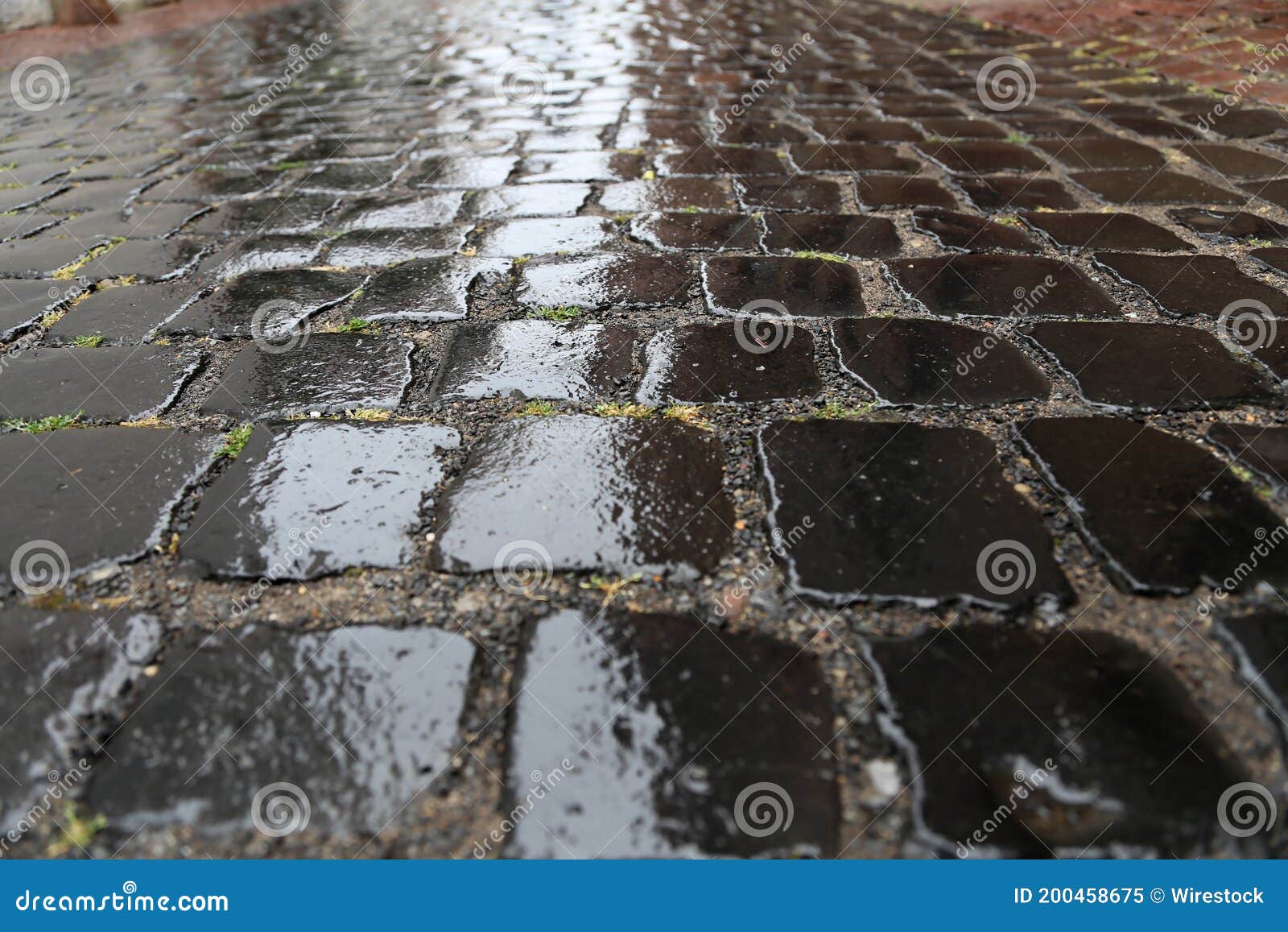 Worm S Eye View of a Wet Brick Road Due To Rain Stock Image - Image of ...
