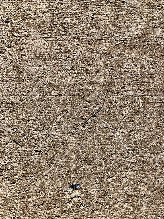 Worm Trails on a Sidewalk stock photo. Image of sidewalk - 155853888