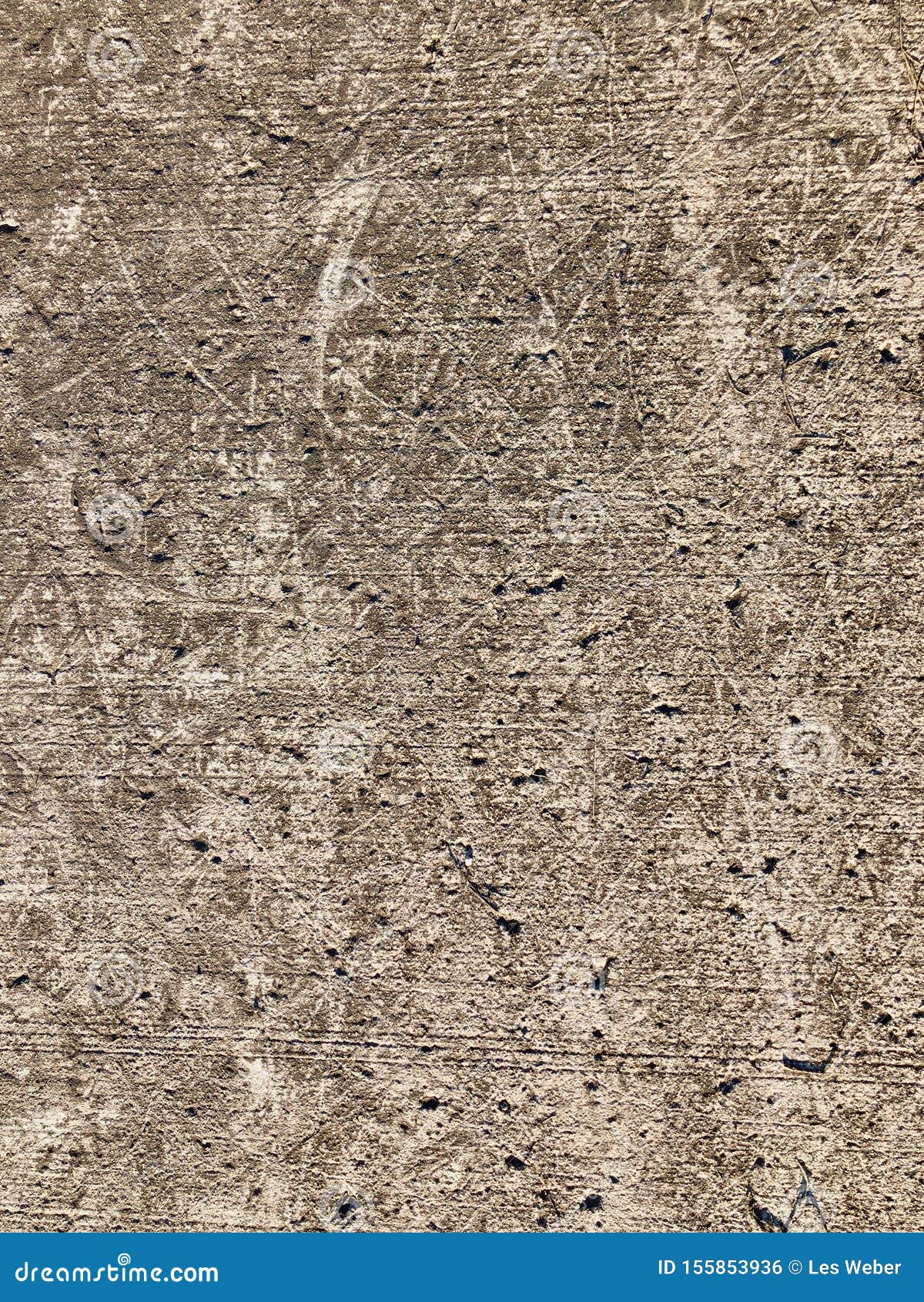 Worm Trails on a Sidewalk stock photo. Image of grains - 155853936