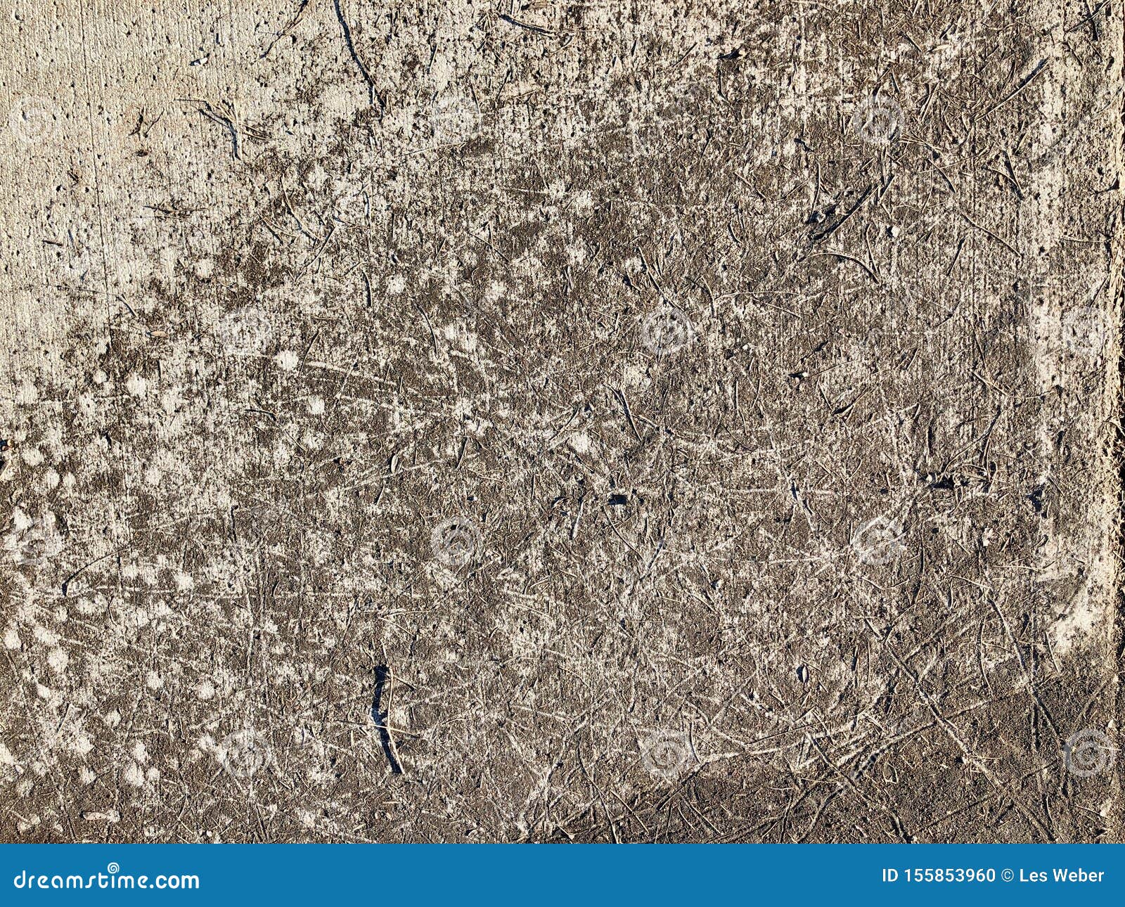 Worm Trails on a Sidewalk stock photo. Image of texture - 155853960