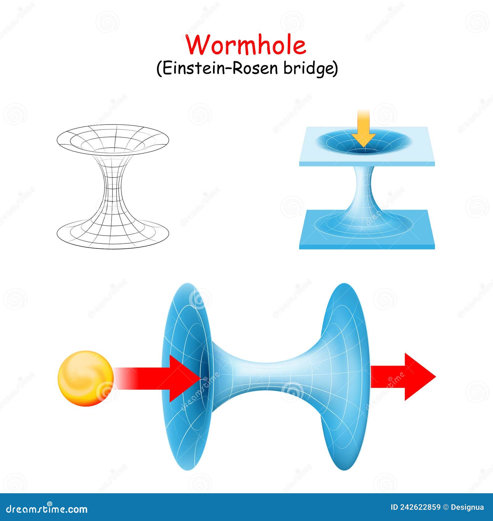 Wormhole Einstein Rosen Bridge Stock Vector Illustration Of Line