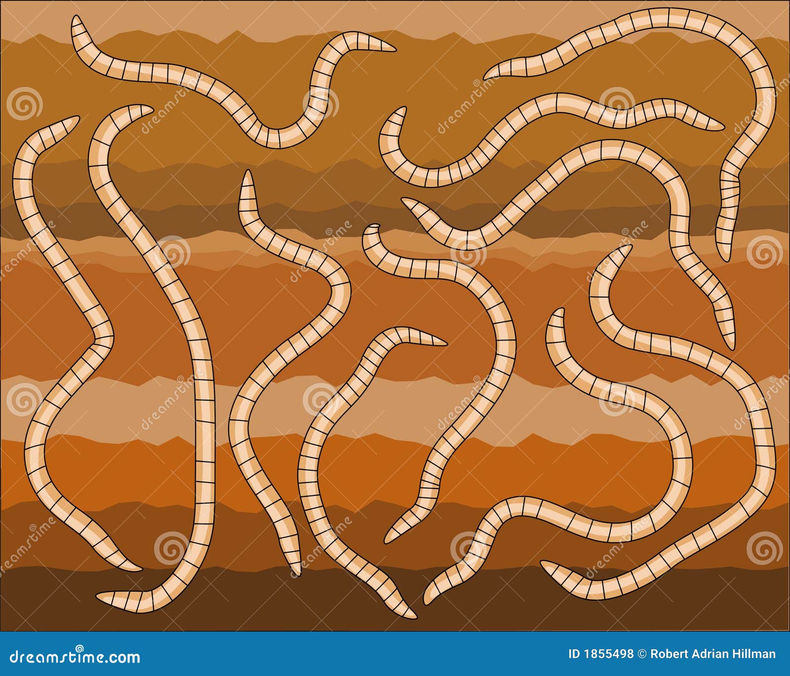 Worms stock vector. Illustration of ground, earth, bait - 1855498