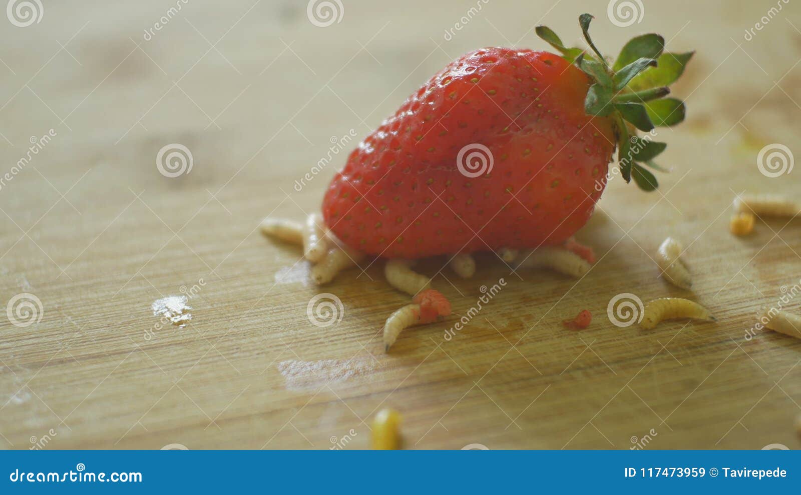 Worms Crawling Over Strawberries Stock Video - Video of animal, long ...