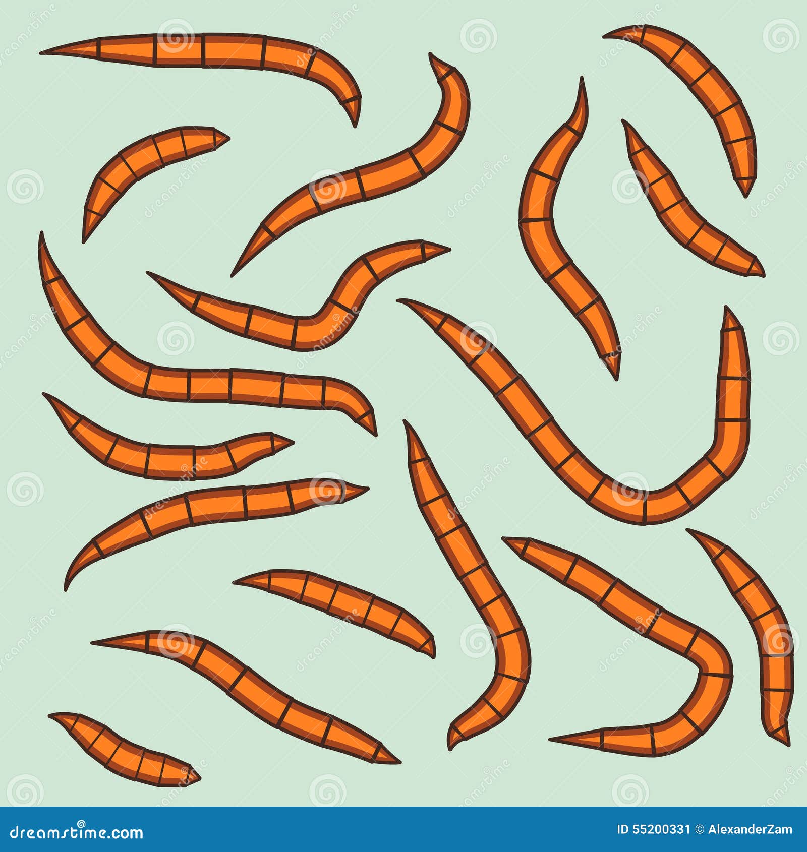 Worms stock vector. Illustration of vermicular, helminthoid - 55200331