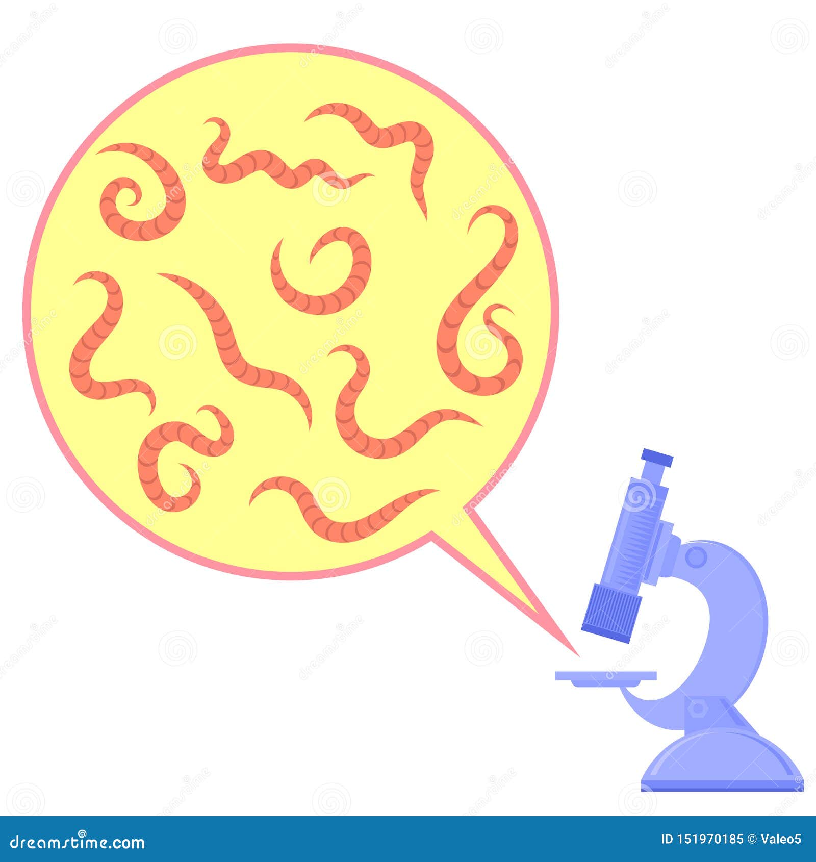 Ascaris. Life Cycle. Vector Illustration | CartoonDealer.com #151312942