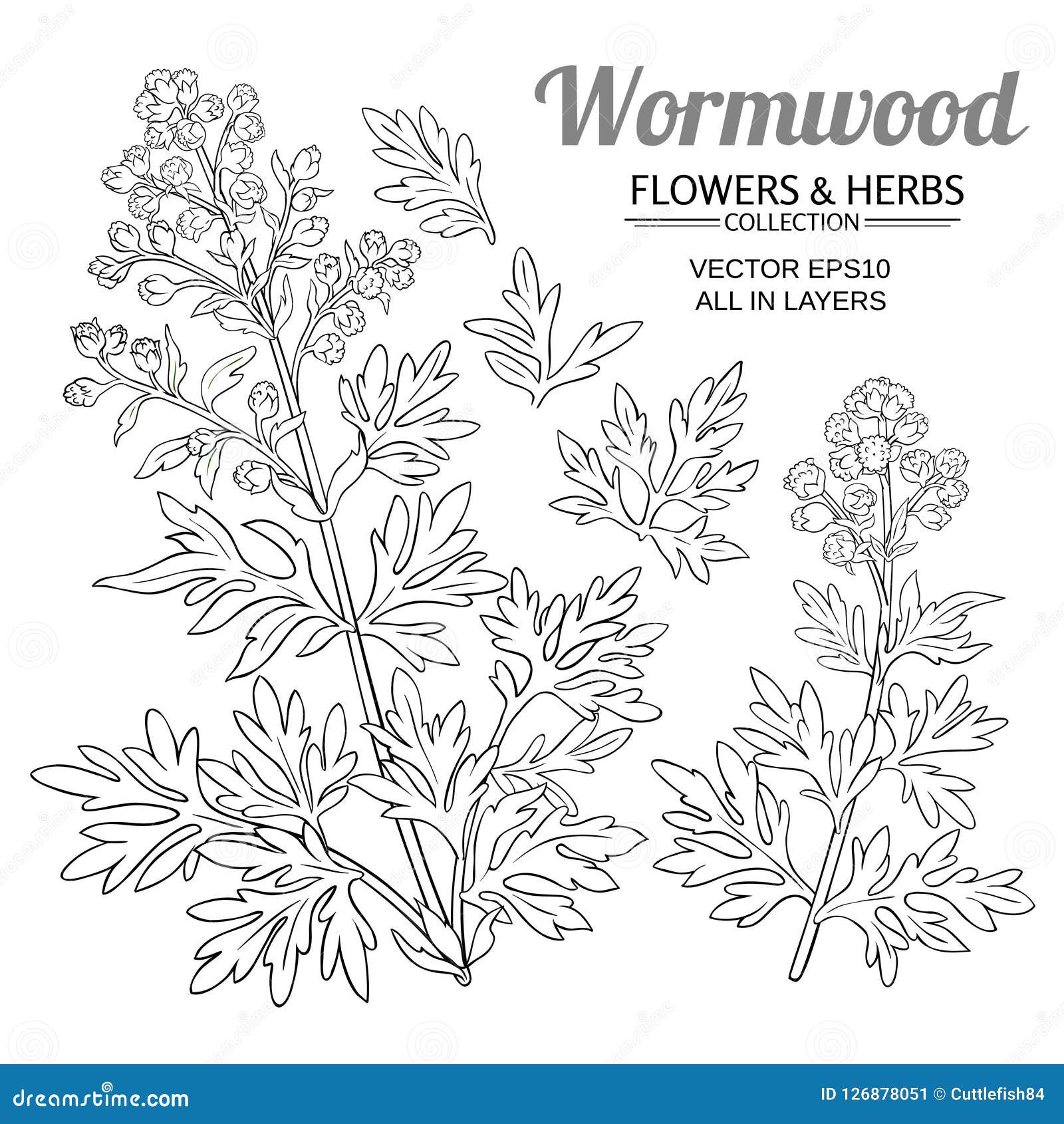 Wormwood Vector Illustration | CartoonDealer.com #96378472