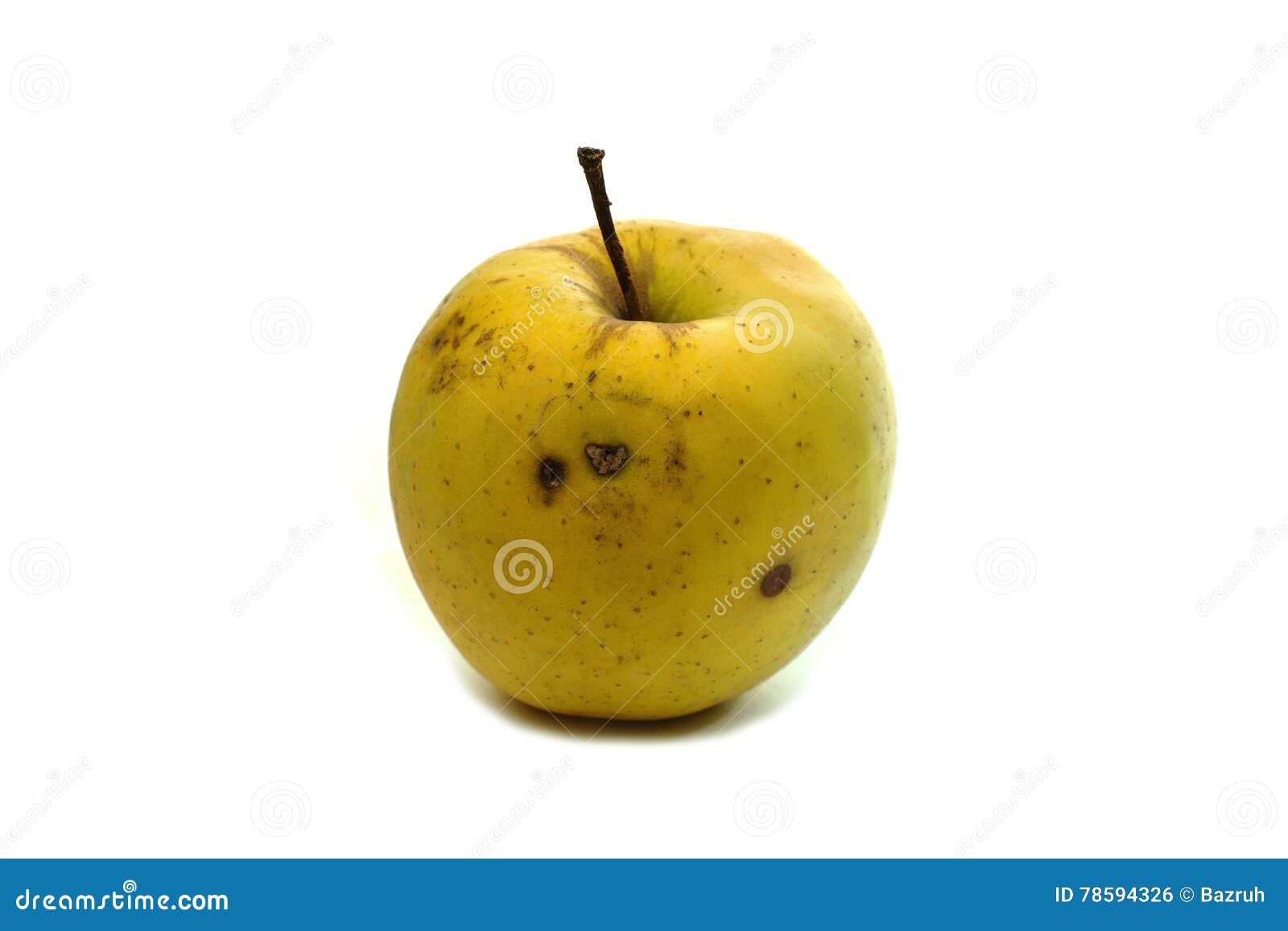 189 Apple Decomposition Photos - Free & Royalty-Free Stock Photos from ...